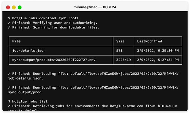 Pre-processing layer for SaaS Integrations | hotglue